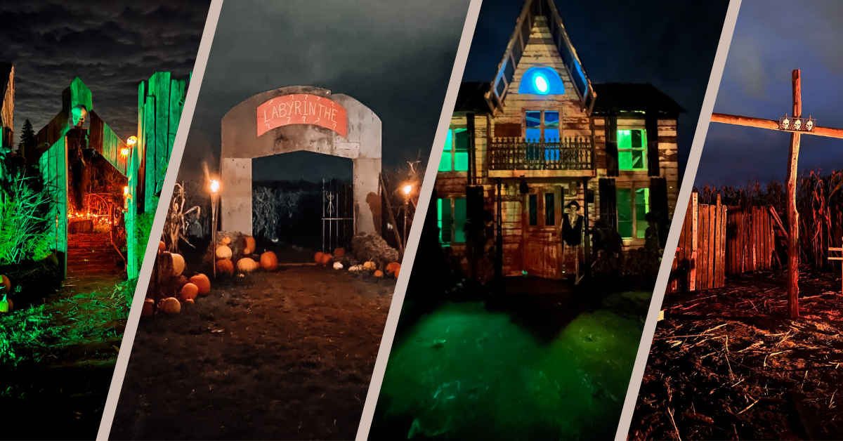 Festiv'Halloween - Labyrinthe de soir Sons & Lumières
